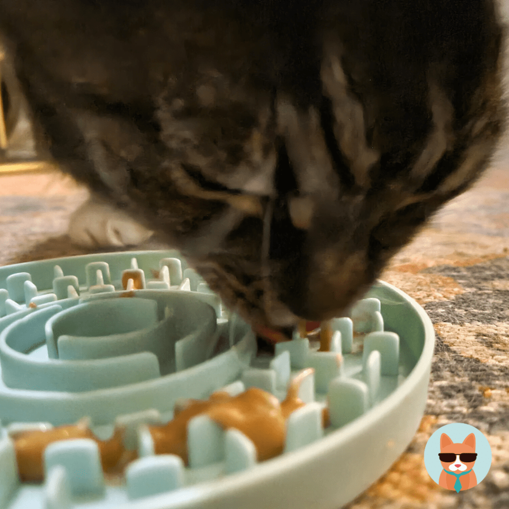 Likmat voor katten