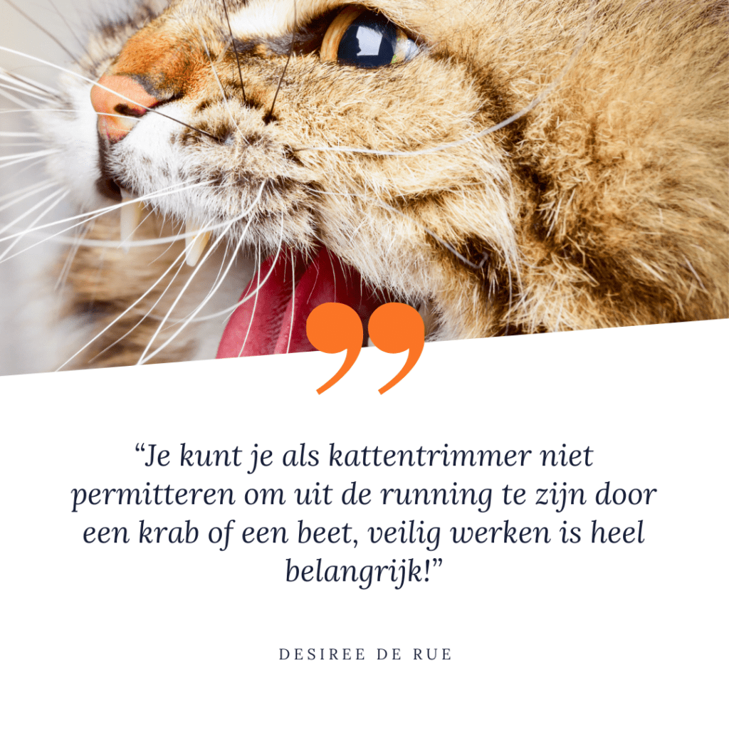 Katten trimmen, kattentrimsalon in Almere