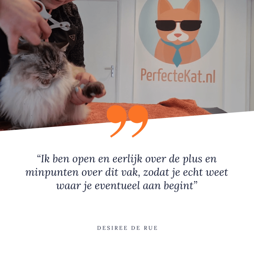 Katten trimmen, kattentrimsalon in Almere
