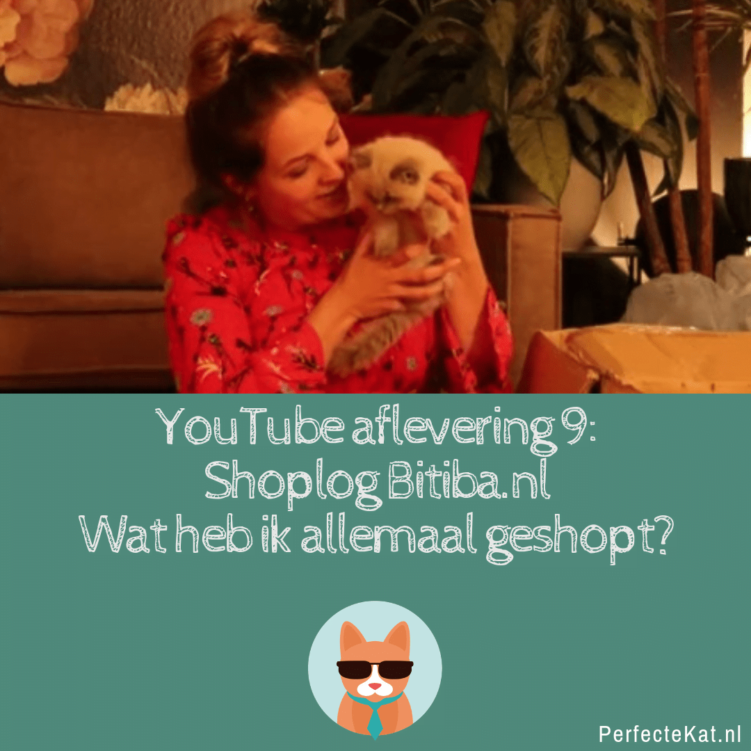 Bitiba.nl shoplog - YouTube aflevering 9 - Wat heb ik gekocht?
